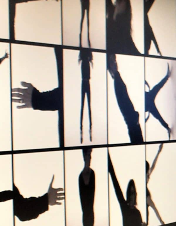 IBM | Studio Design + Architecture SD+A